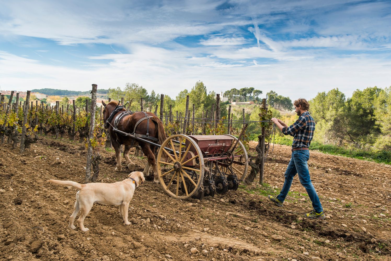 Raventós i Blanc, 'Cuvée Manuel Raventós' – VinoVi&Co